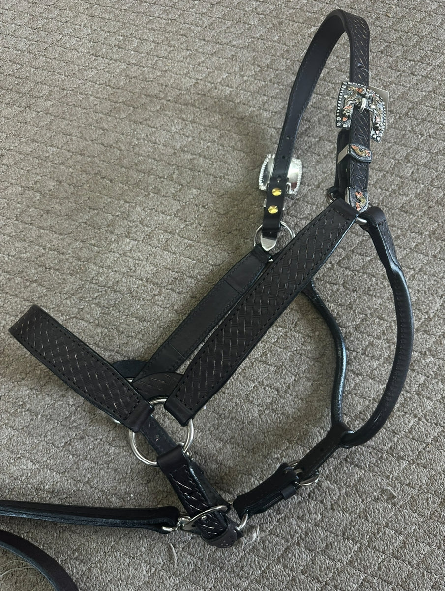Halters – Horse Show Closet-HSC